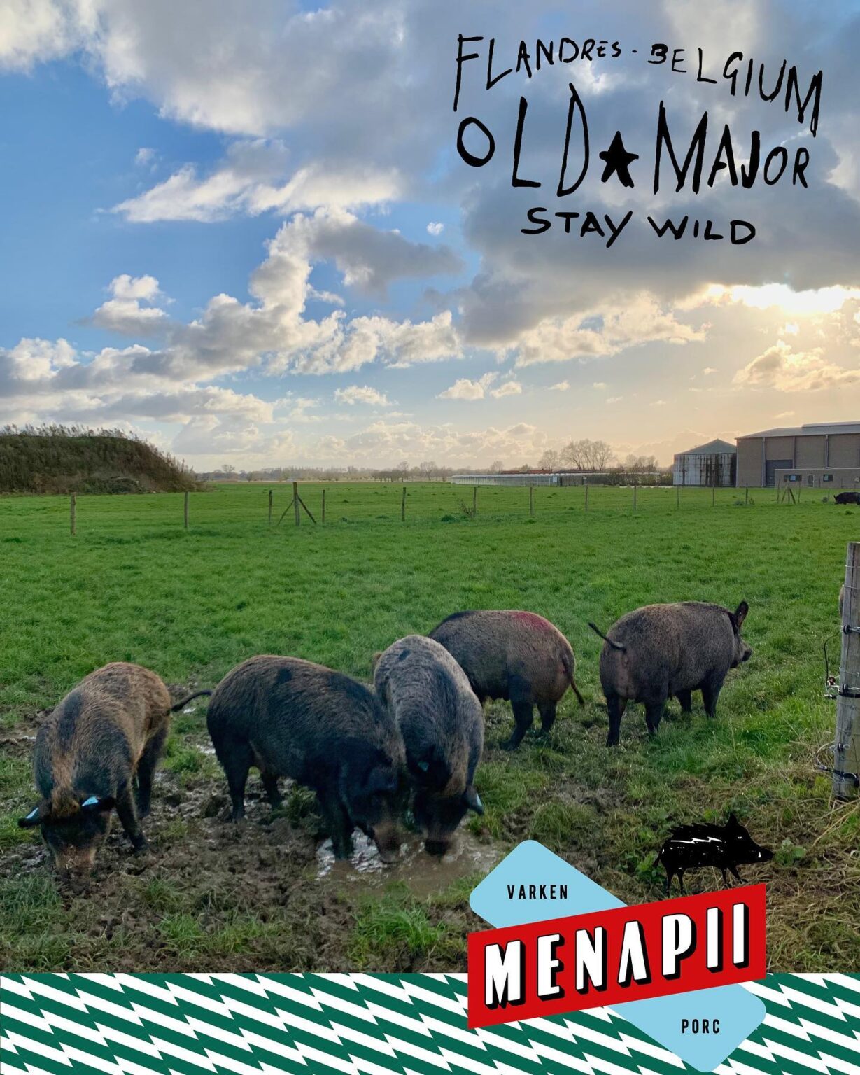 "Een volk van bij ons?": het grondgebied van de Menapii in Gallia ...